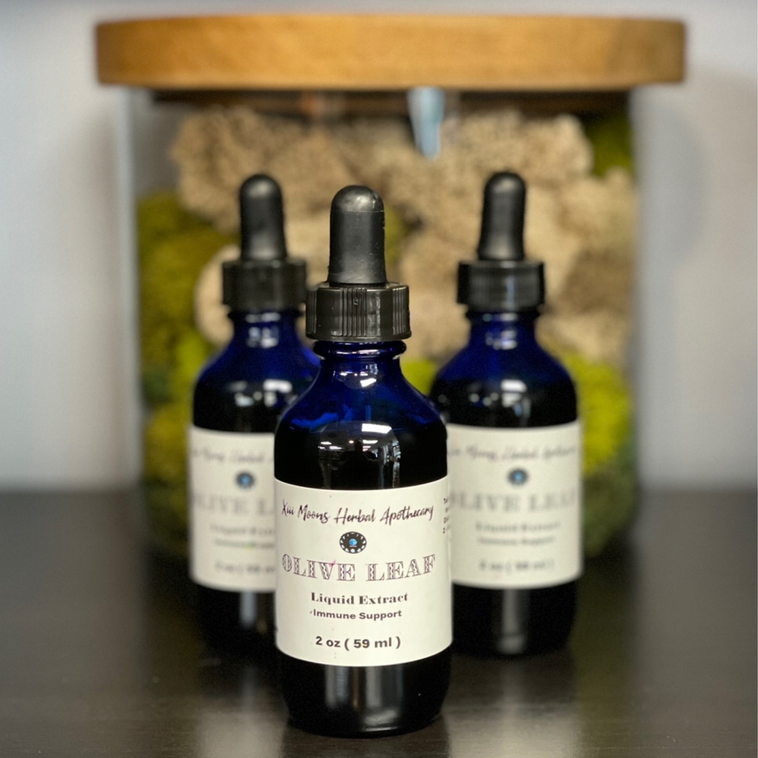 Olive Leaf Liquid Extract | XIII MOONS APOTHECARY