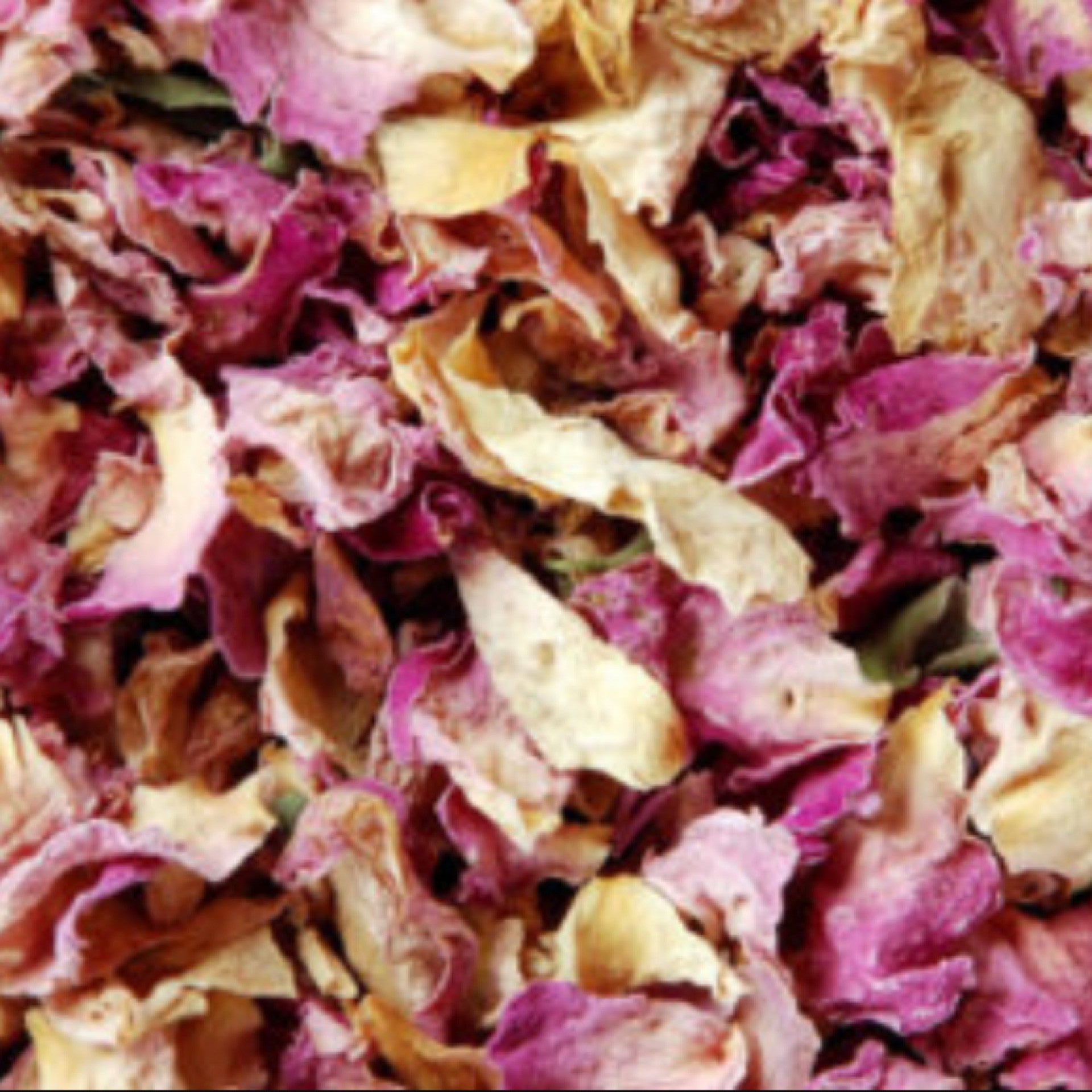 Red Rose Petals | XIII MOONS APOTHECARY